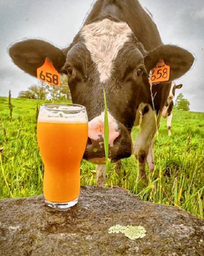 An American Dairy Farm Turns To Brewing – American Craft Beer