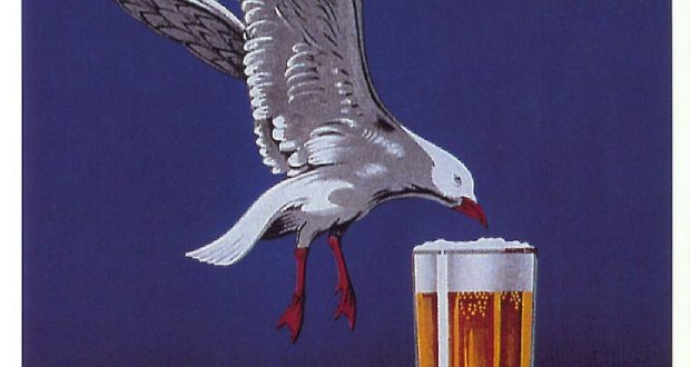 Drunk Seagulls Reeking Of Beer Increase In The UK! – American Craft Beer