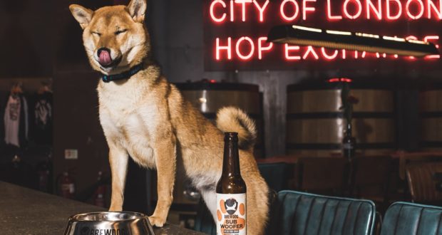 BrewDog Debuts World’s First Craft Beer For Dogs - American Craft Beer