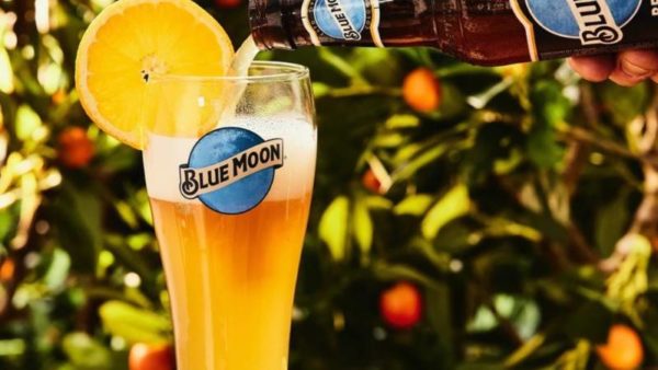 Win Free Blue Moon Beer For A Year And An Orange Tree – American Craft Beer