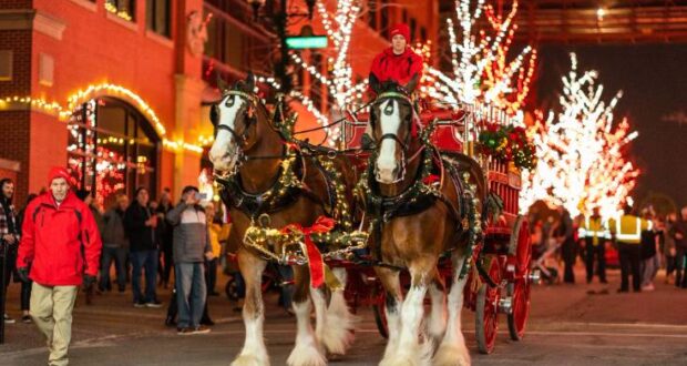 Festive Lights Extravaganza Returns To Historic Anheuser-Busch Brewery ...